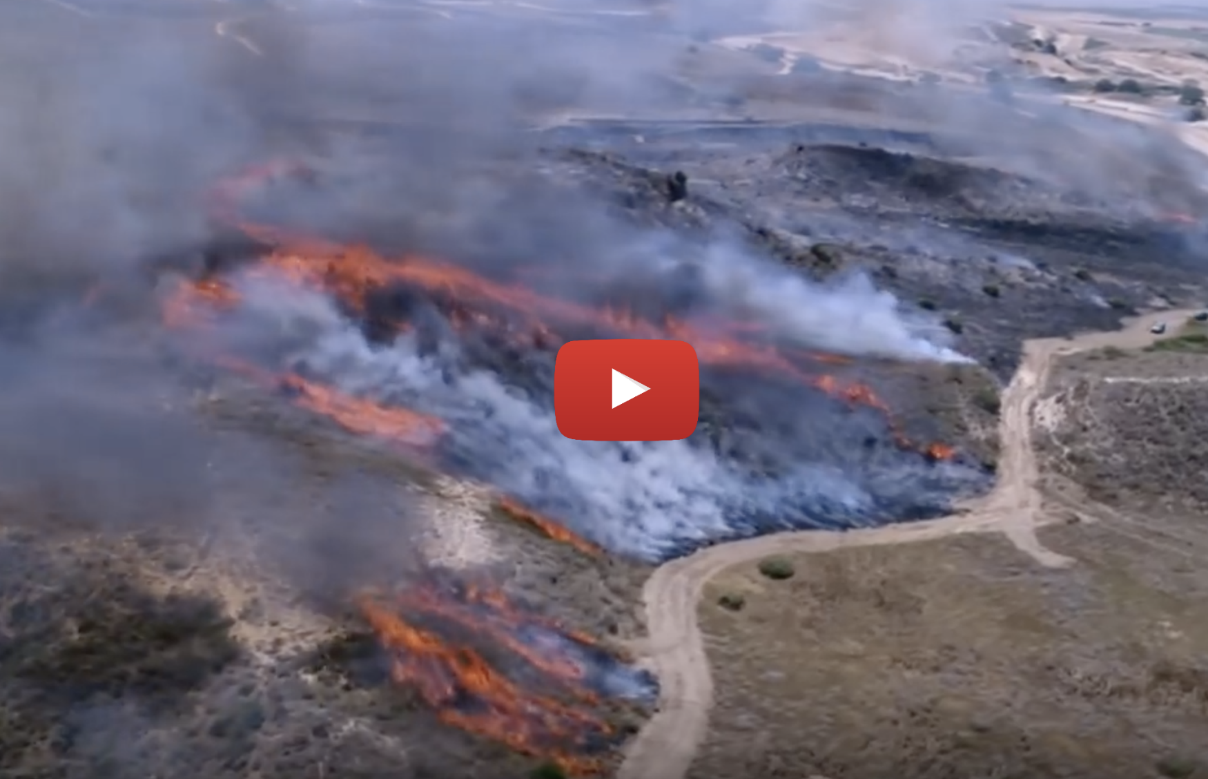 Massive Gaza Terror Fires Destroying Israeli Fields $1.4m in Damages